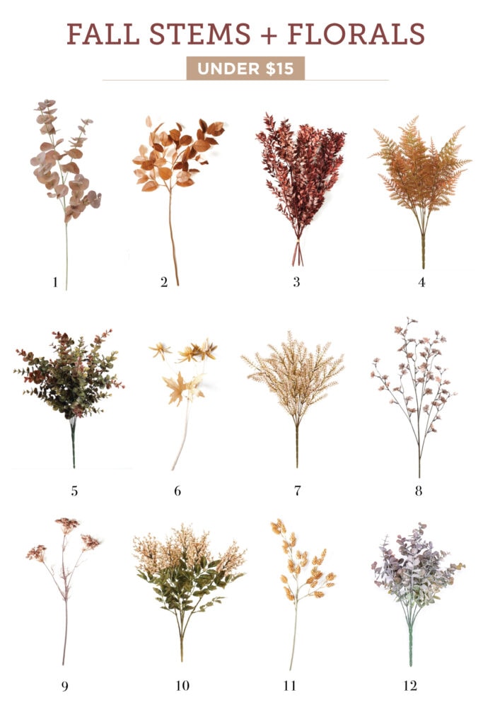 Fall Stem and Floral Roundup - Jenna Sue Design