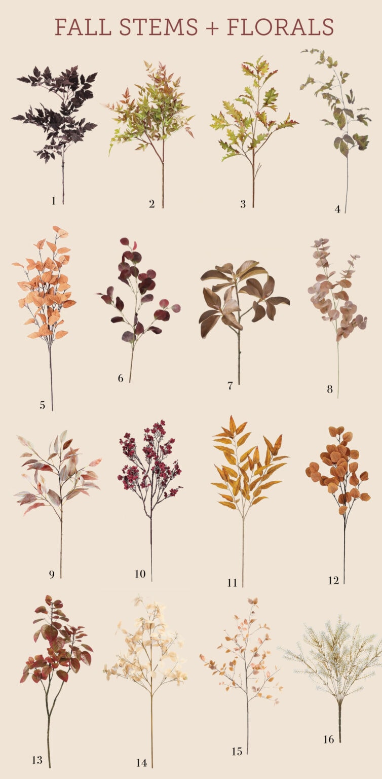 Fall Stem Roundup – Best of 2023 - Jenna Sue Design