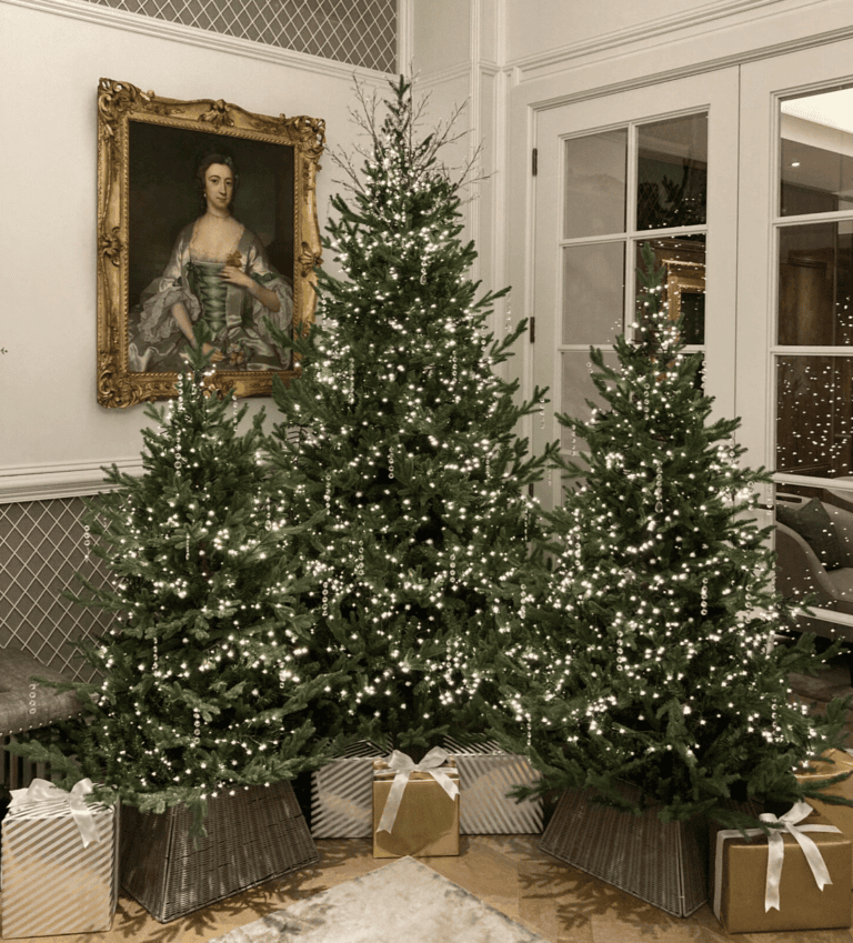 Christmas Tree Decorating Ideas + Trends for 2025 - Jenna Sue Design