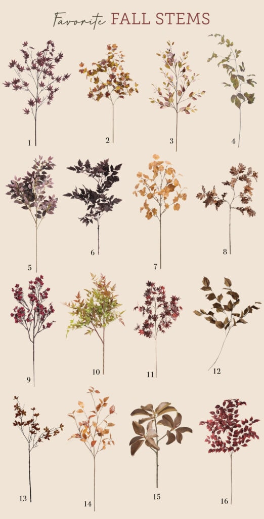 Fall Stem Roundup: Best of 2024 - Jenna Sue Design